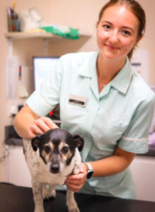 North Park Vets – Welcome to North Park Veterinary Group